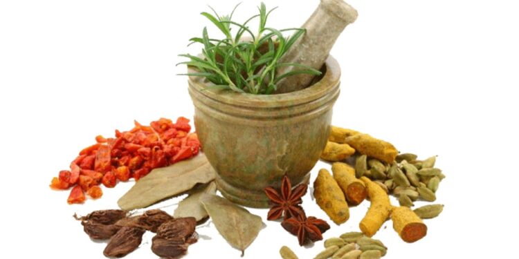 Obat Tradisional yang Murah dan Mudah Diolah oleh Anak Kos